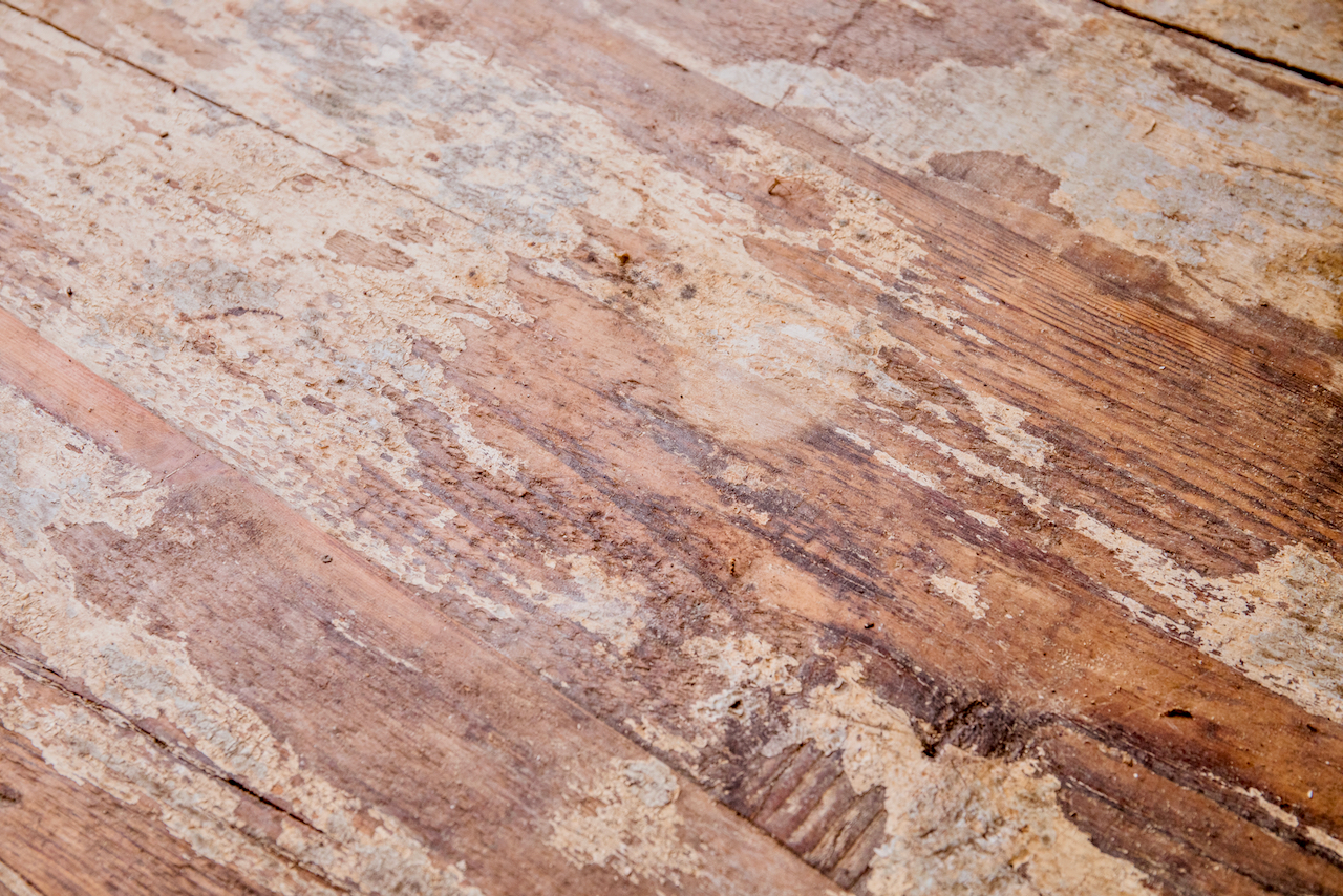 Film & TV – Carthew