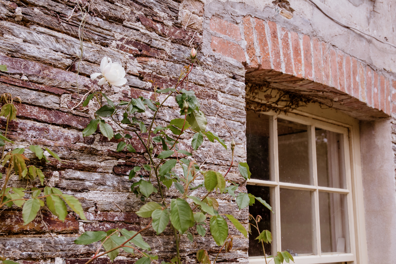 Film & TV – Carthew